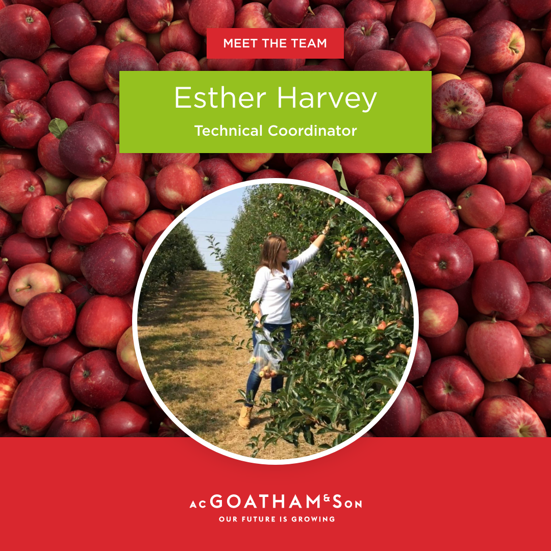 Esther Harvey - AC Goatham